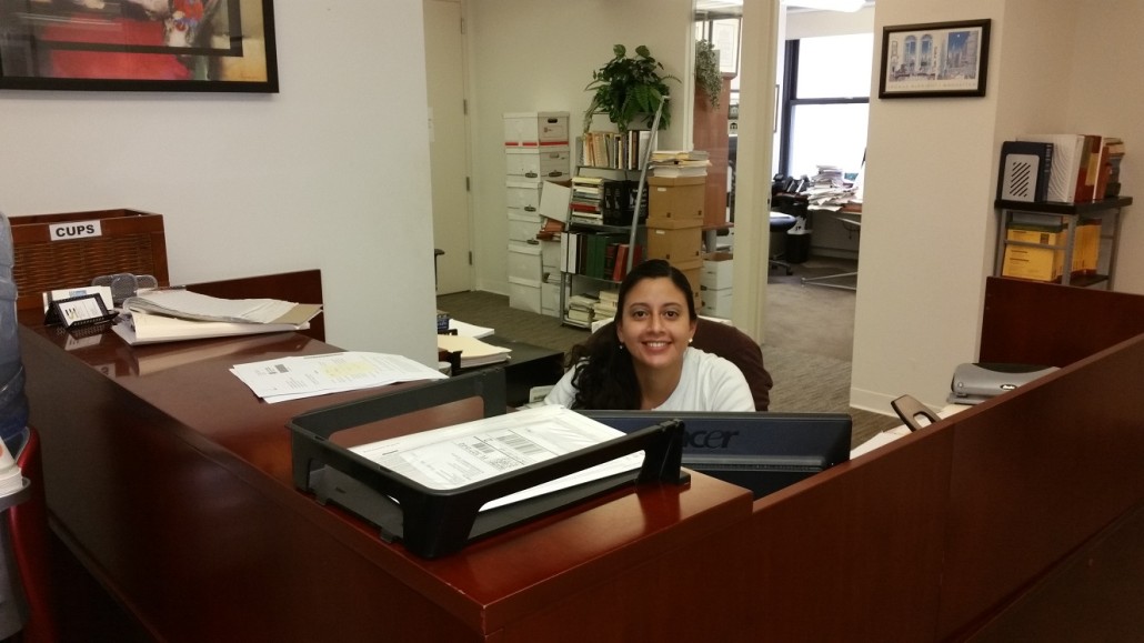 Our Firm – About Us – Lanin Law P.C.